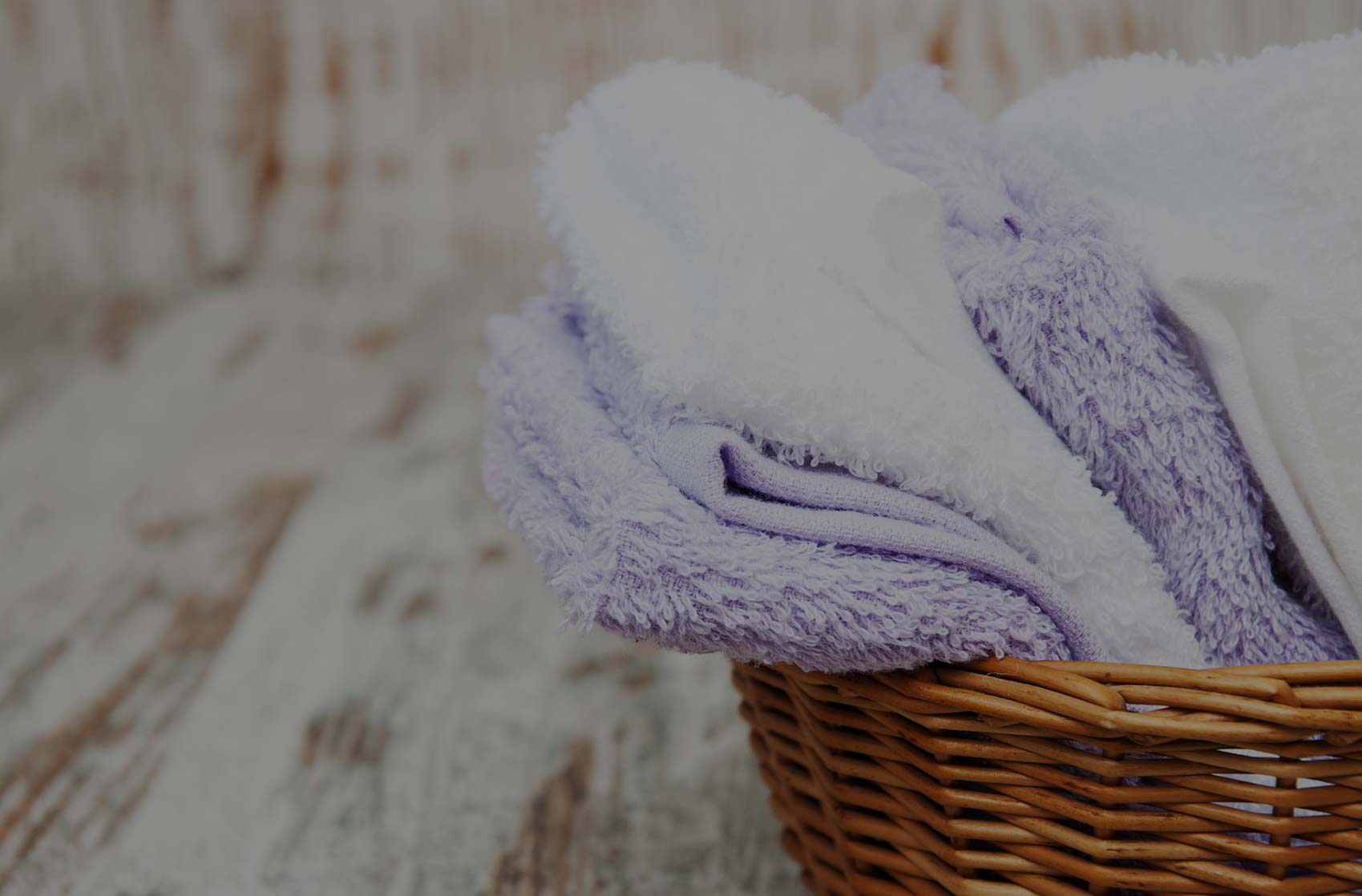 Norfolk Dustbusters - Norfolk Dustbusters