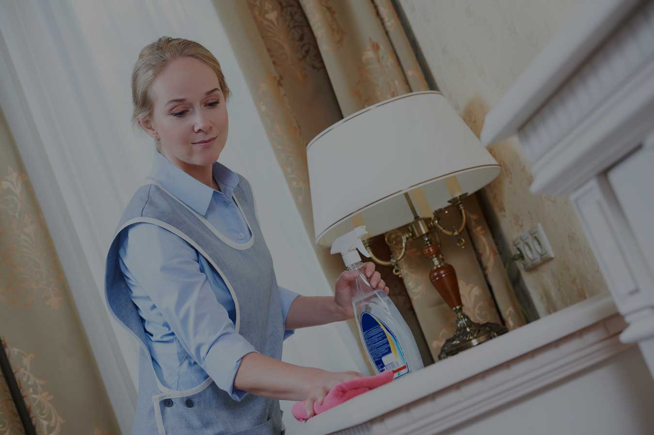 Norfolk Dustbusters - Norfolk Dustbusters